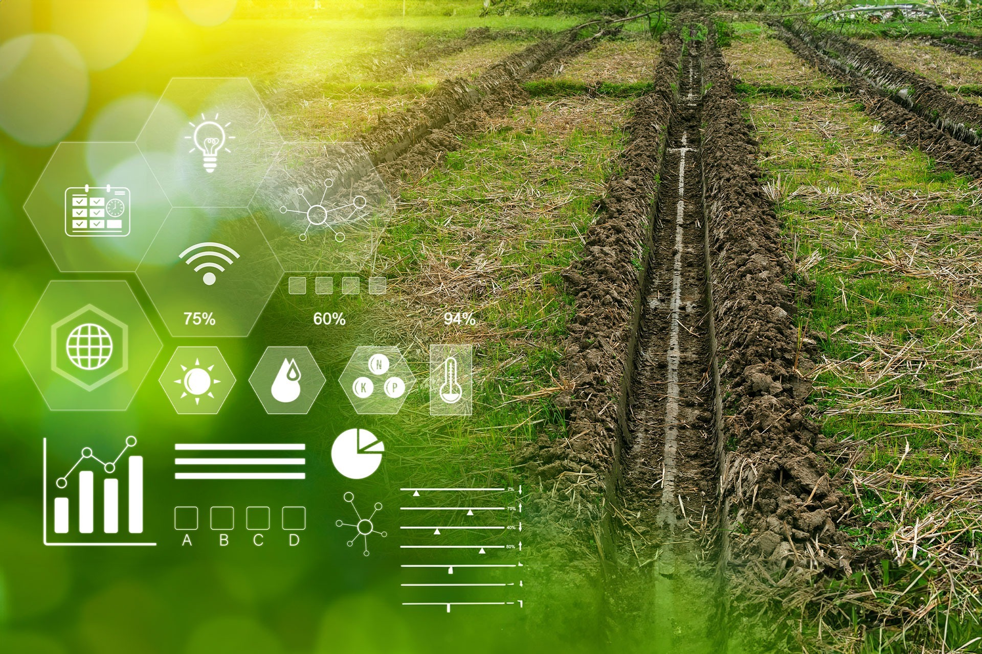 Proyectos de desarrollo rural – Rural Innovation GT